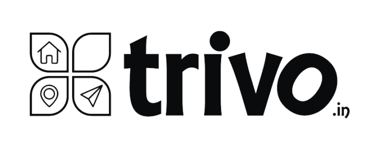 Digital Marketing Services Company India | Trivo